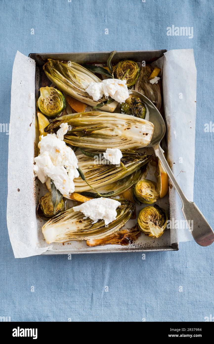 Roast Belgian endive and Brussels sprout with Labneh Stock Photo - Alamy