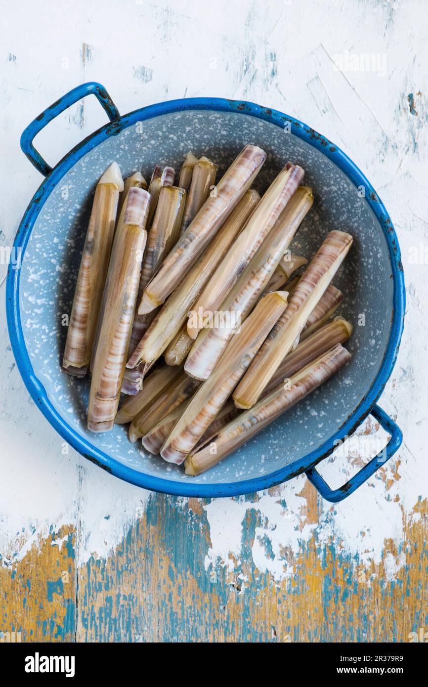 Inside mussel shell hi-res stock photography and images - Alamy