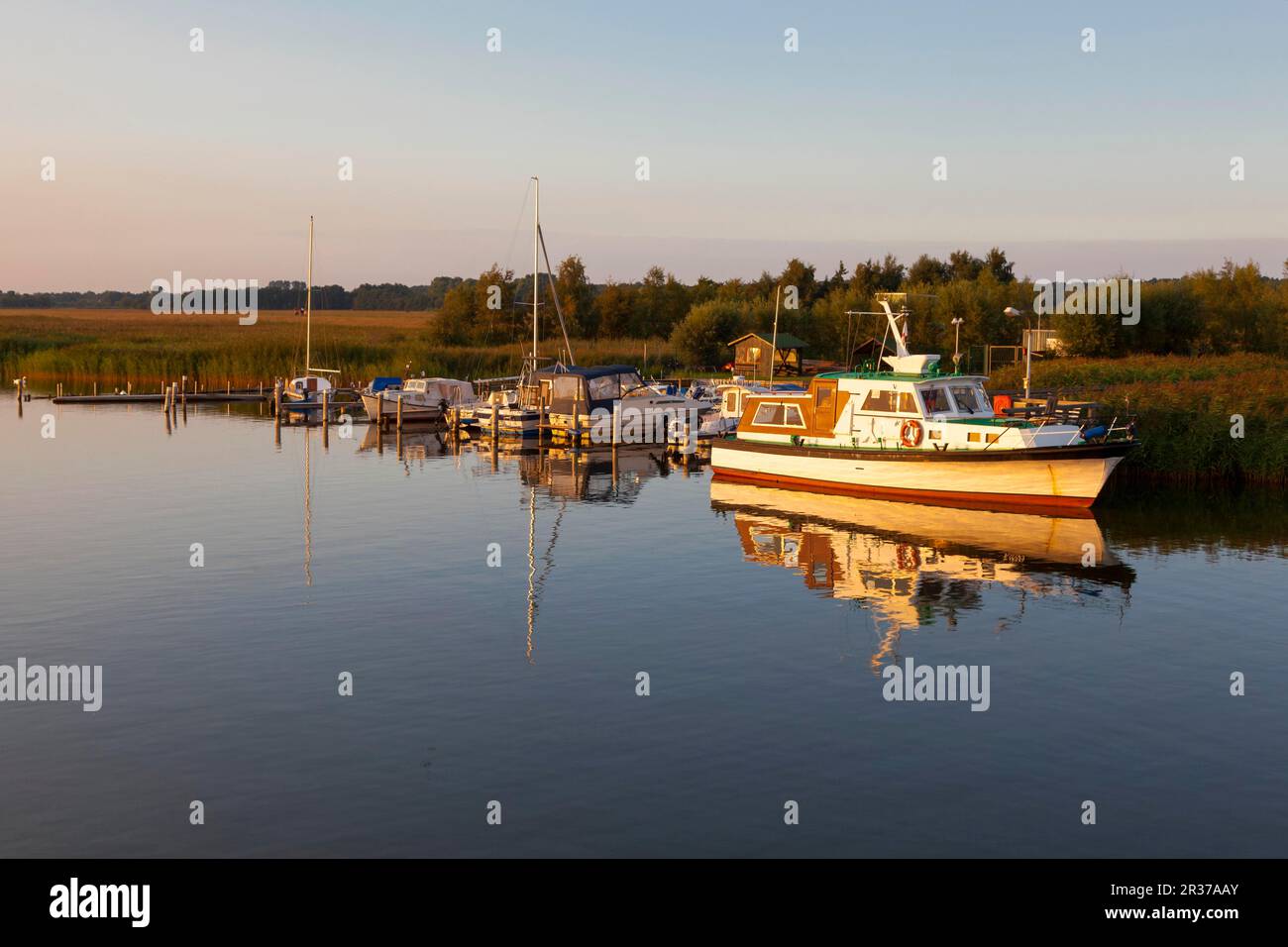 Bodden rush hi-res stock photography and images - Alamy