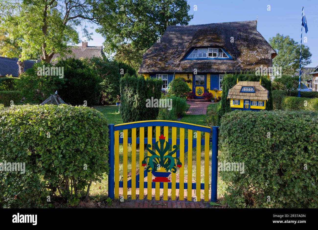 Thatched house in Born Stock Photo - Alamy