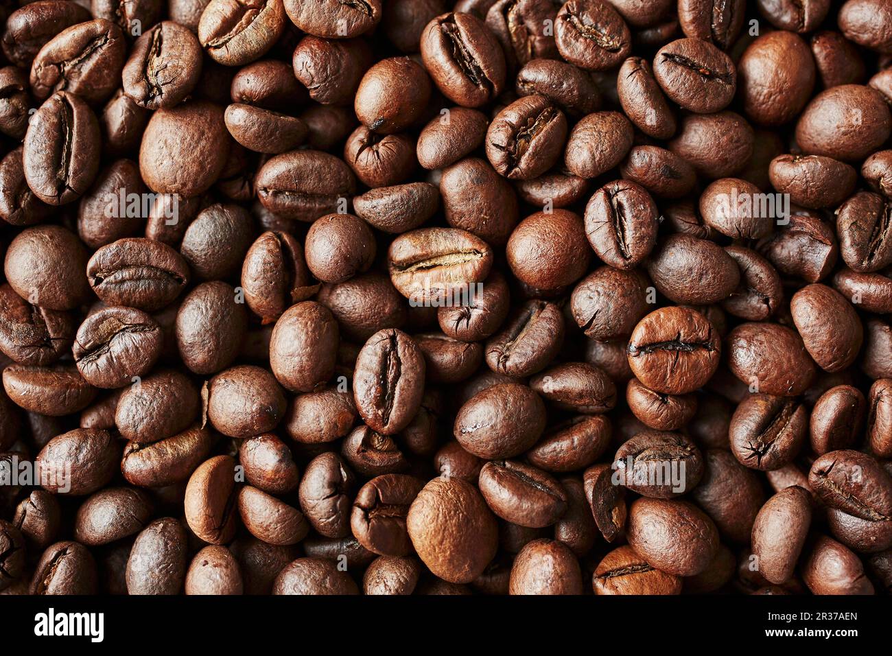 Unground coffee beans full hi-res stock photography and images - Alamy