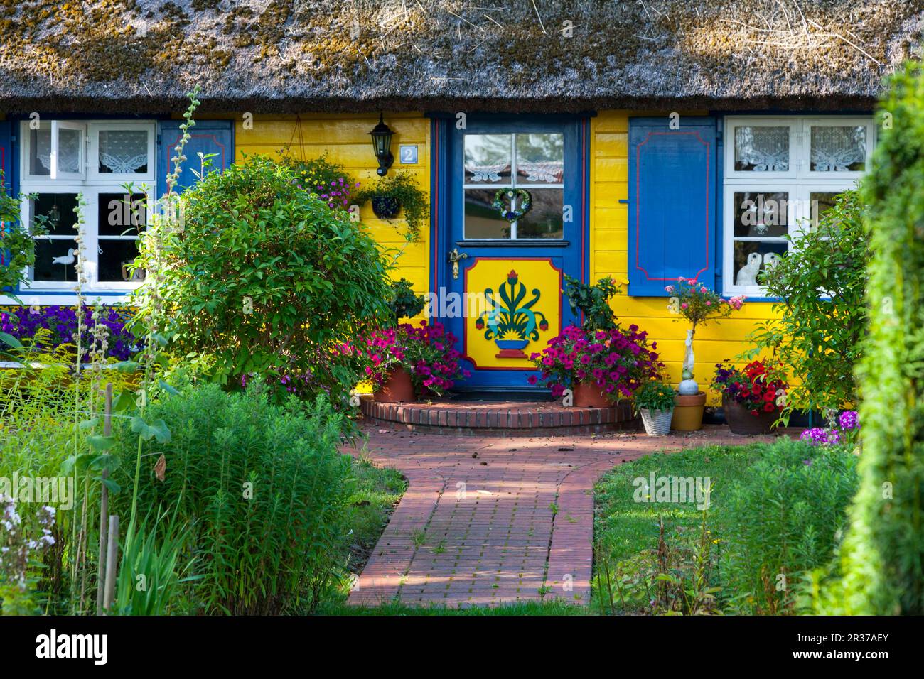 Thatched house in Born Stock Photo - Alamy
