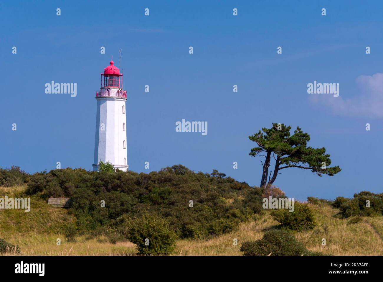 Briar lighthouse hi-res stock photography and images - Alamy