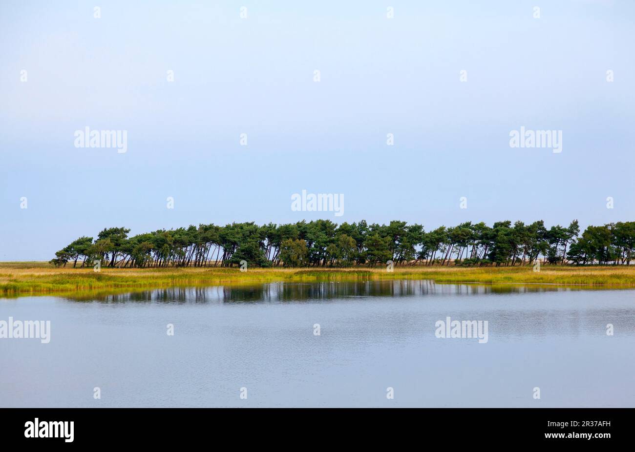 Bodden rush hi-res stock photography and images - Alamy