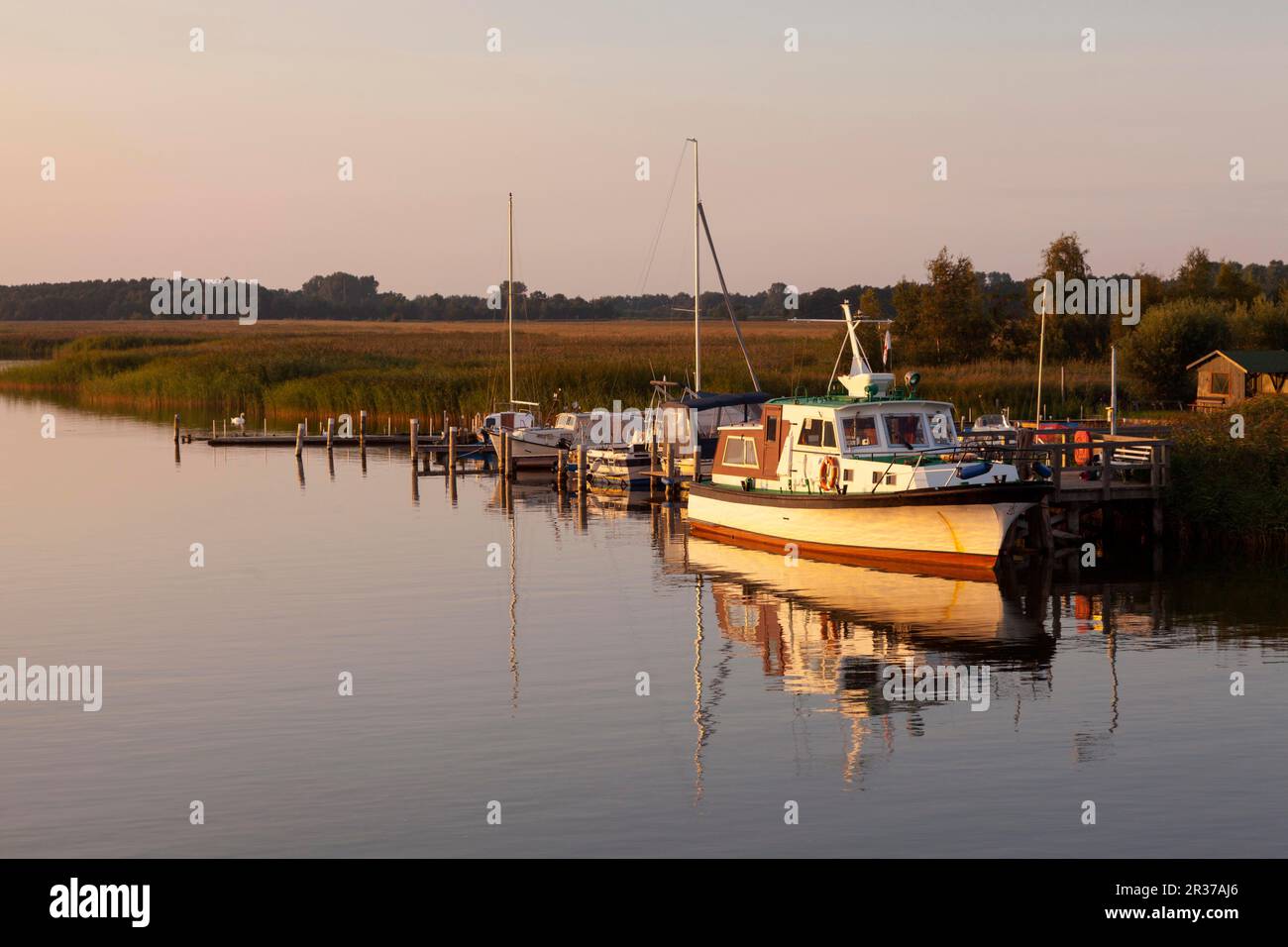 Bodden rush hi-res stock photography and images - Alamy