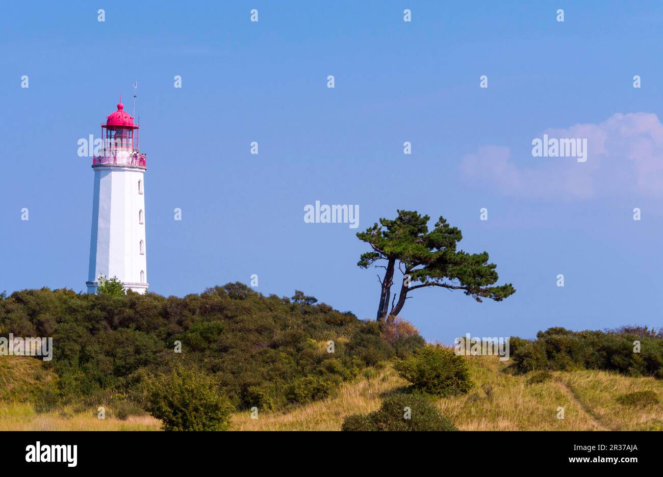 Pine island lighthouse hi-res stock photography and images - Alamy