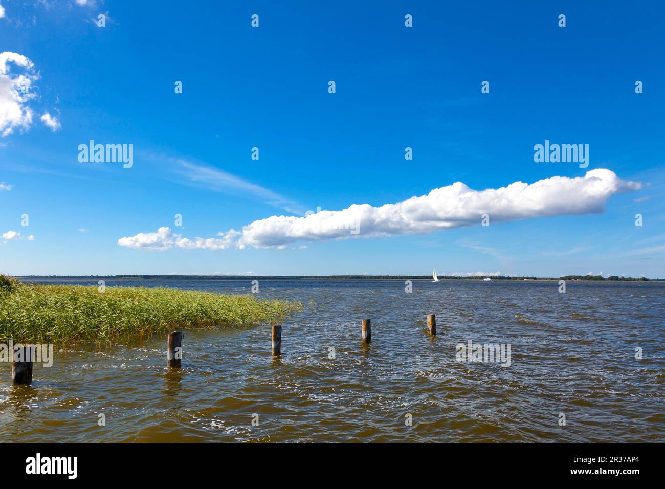 The Bodden in Fuhlendorf Stock Photo - Alamy