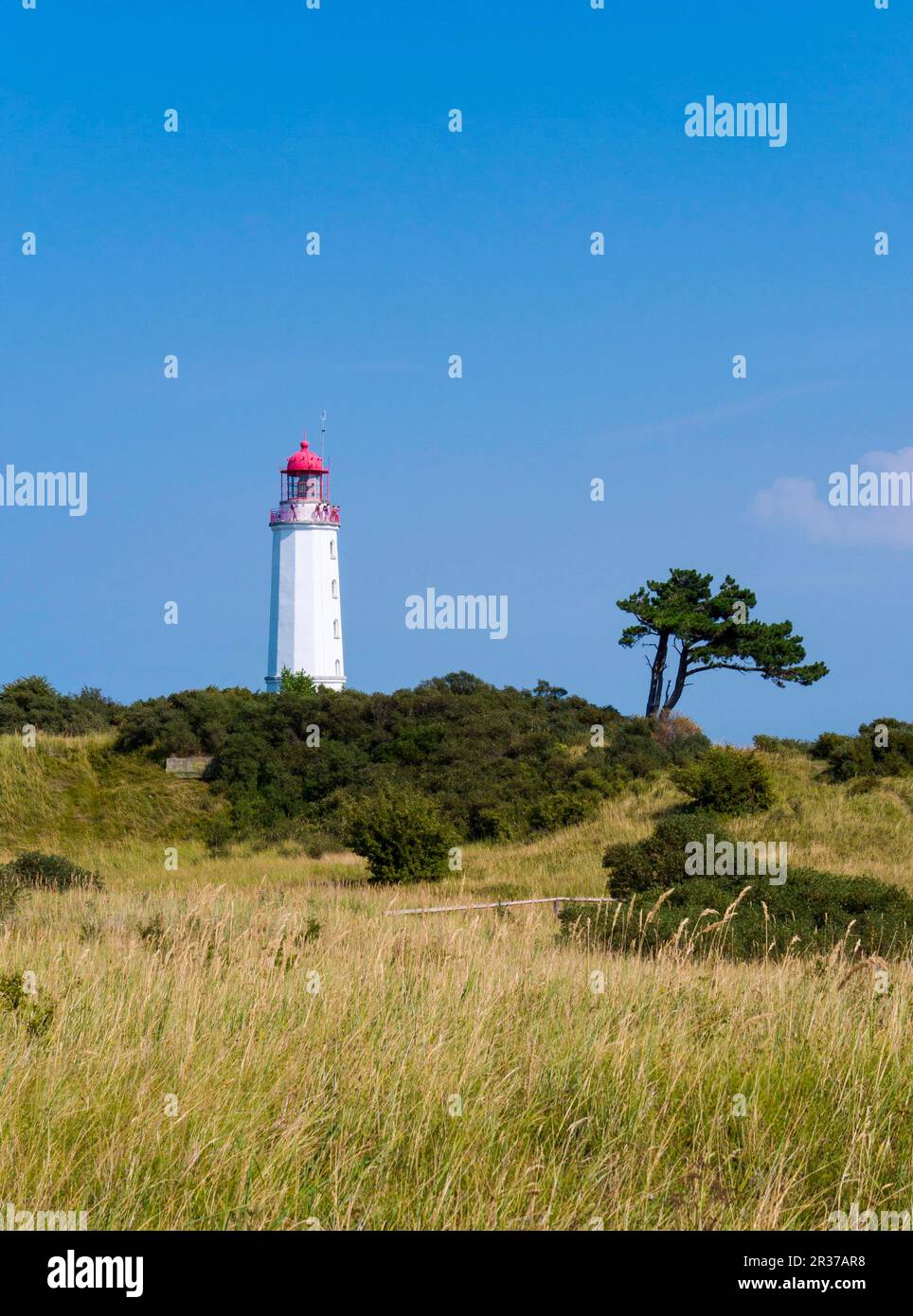 Briar lighthouse hi-res stock photography and images - Alamy