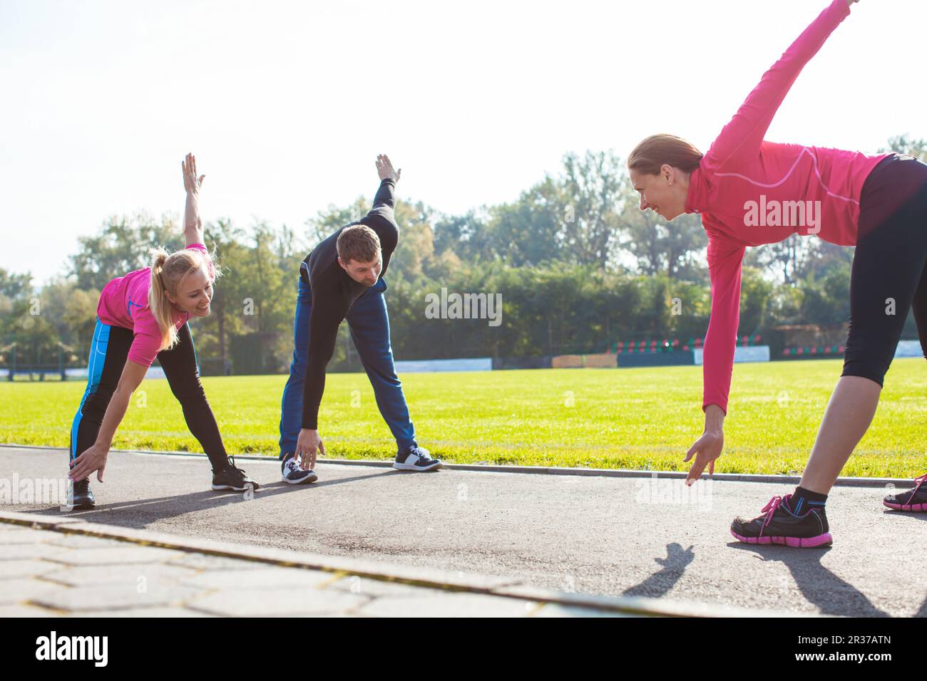 Muscular group hi-res stock photography and images - Alamy