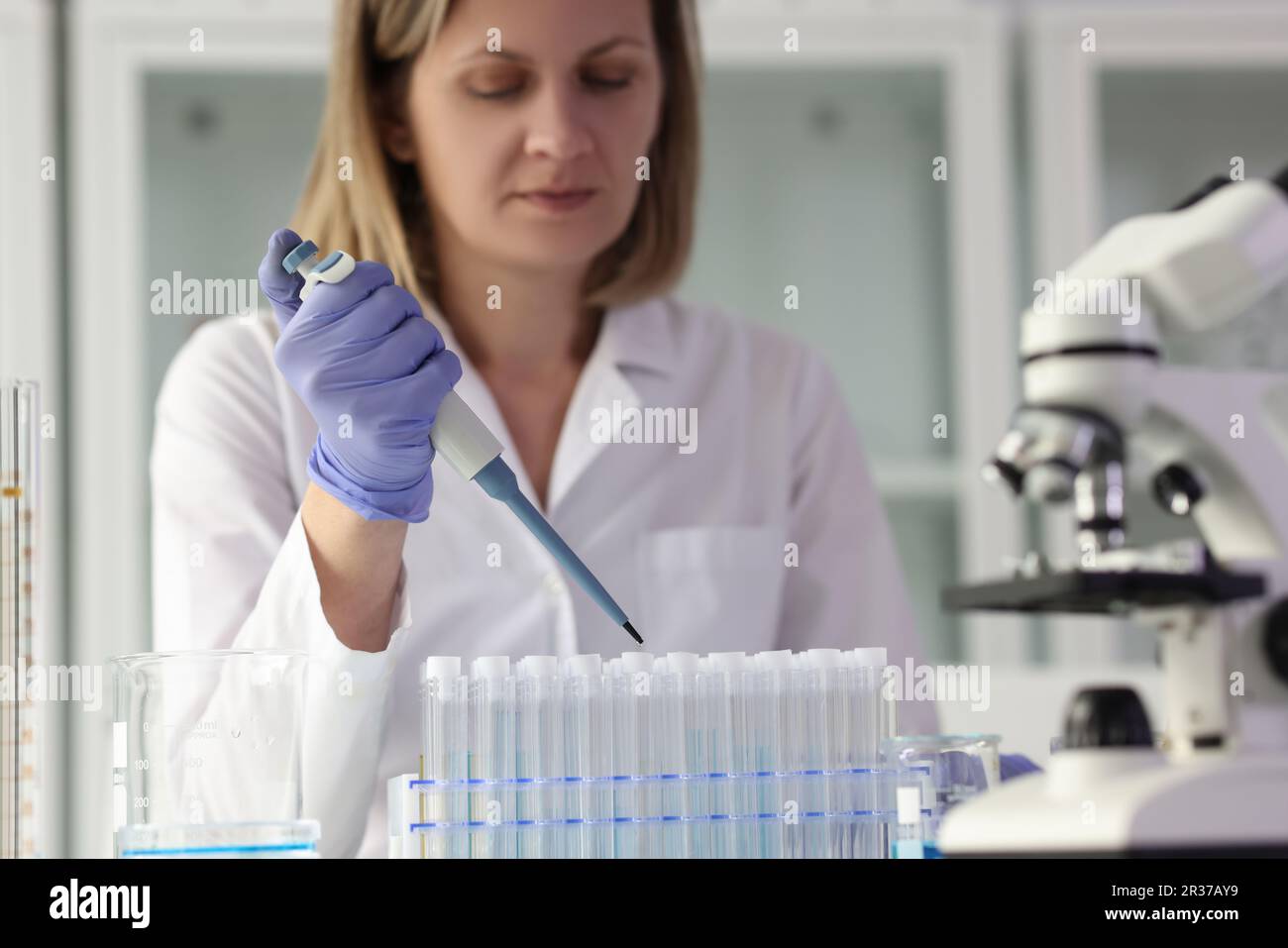 Chemist drips reagent with pipette into test tubes Stock Photo - Alamy