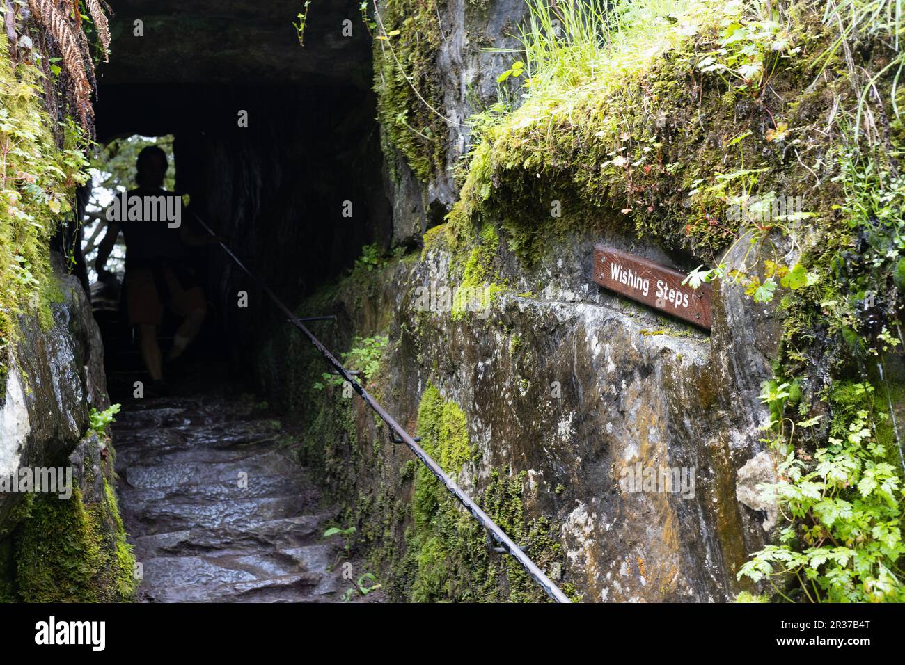 A man in silhouette descending the wishing steps on the grounds of ...