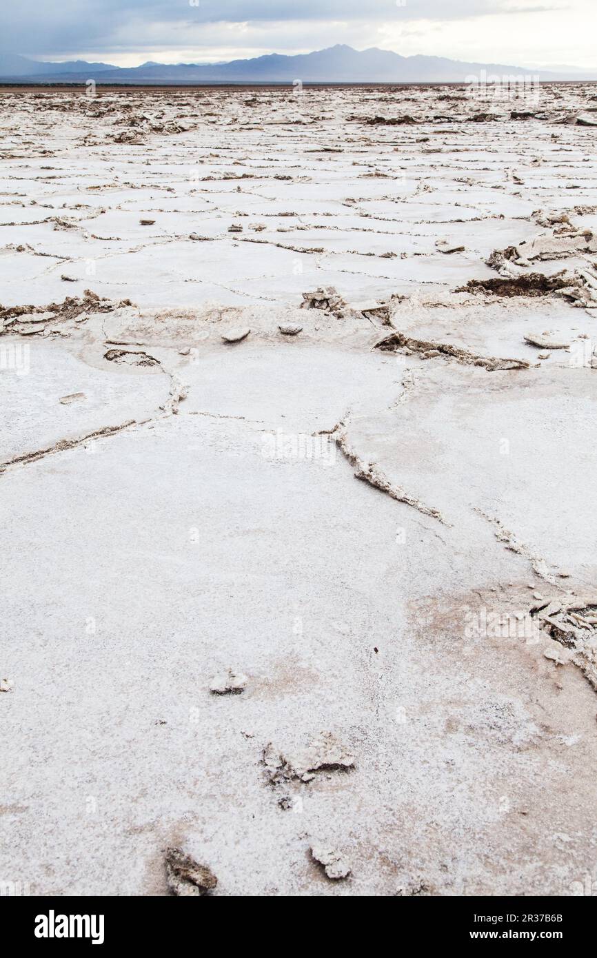 Salt desert close to Amboy, USA. Concept for desertification Stock ...