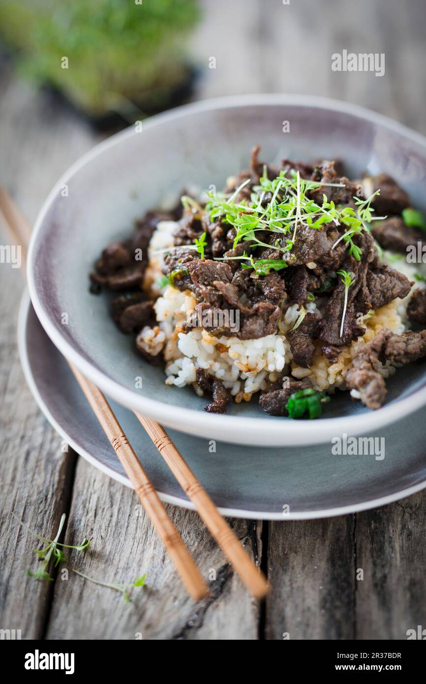 Bulgogi with rice (Korea Stock Photo - Alamy