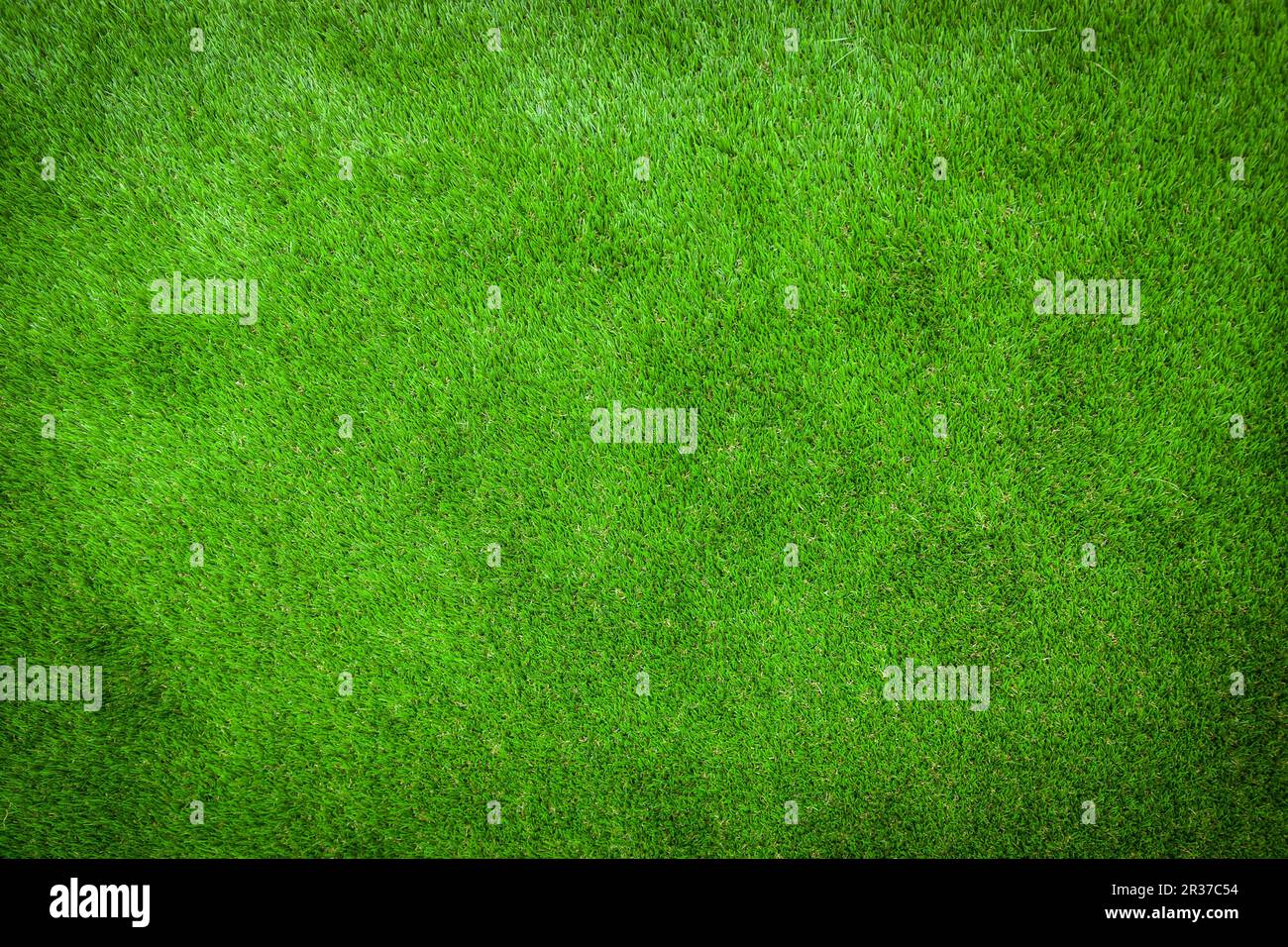 Green lawn background Stock Photo - Alamy