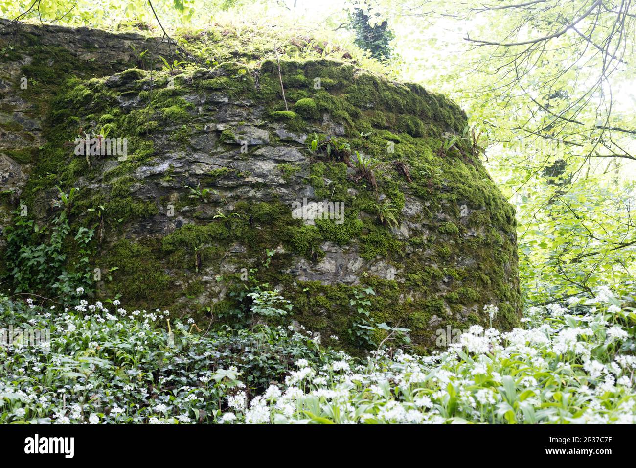 The old Ice House on the grounds of Blarney Castle in Ireland Stock ...
