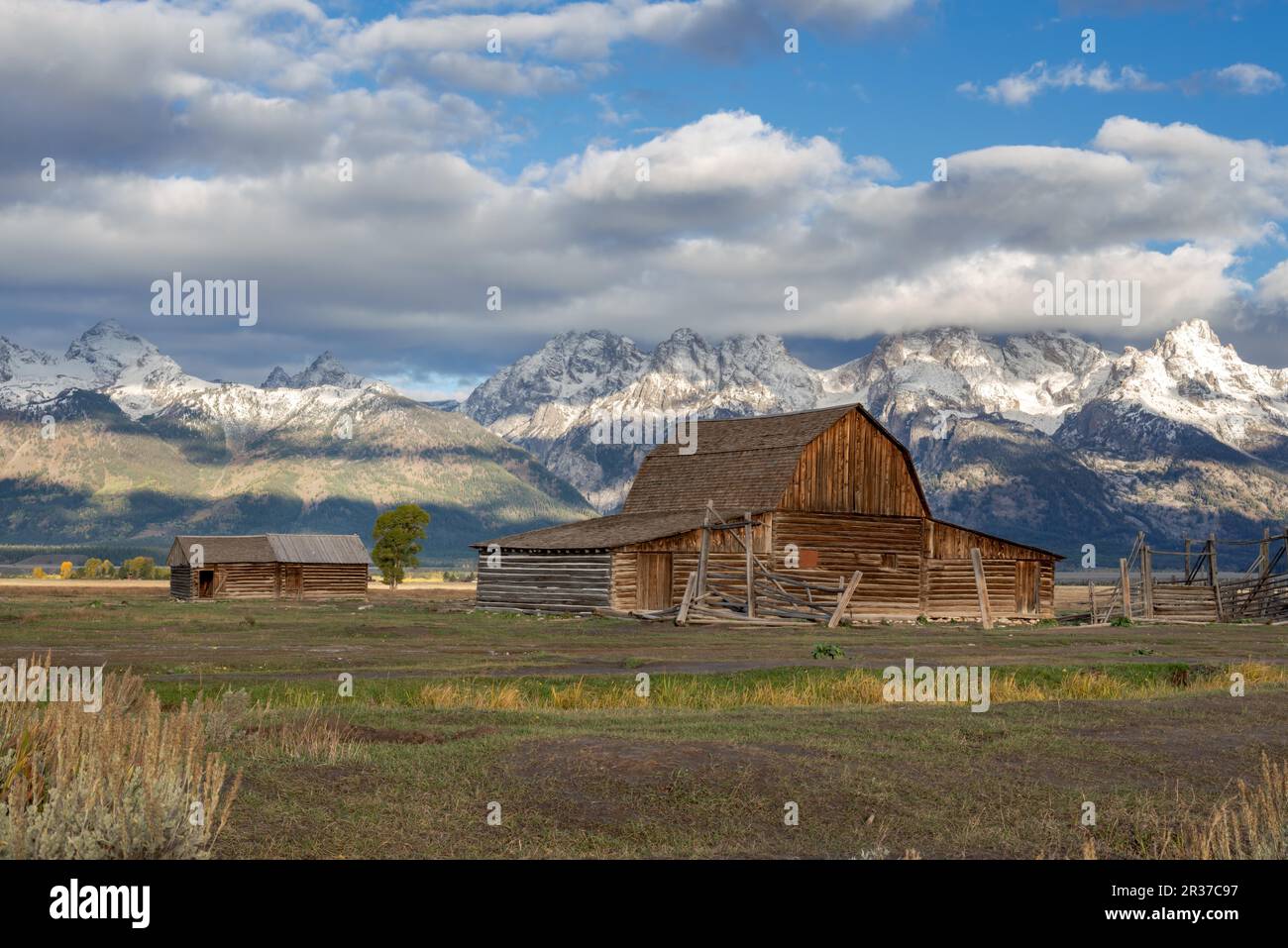 Mormon series hi-res stock photography and images - Alamy