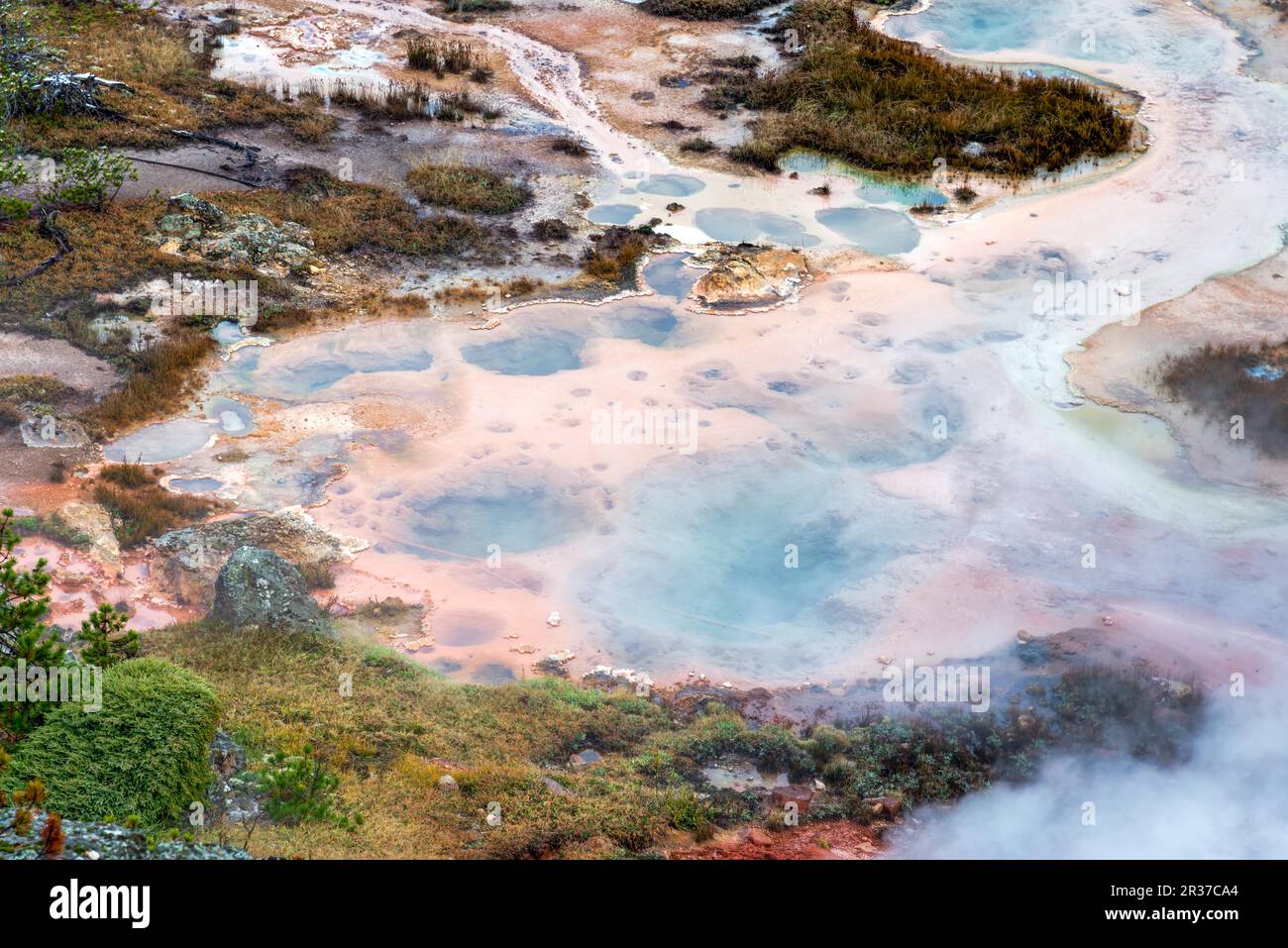 Artist Paint Pots Stock Photo - Alamy