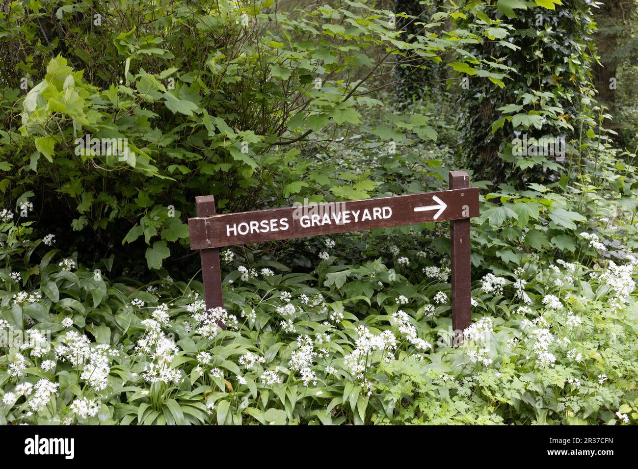 A sign pointing to the Horse's Graveyard on the grounds of Blarney ...