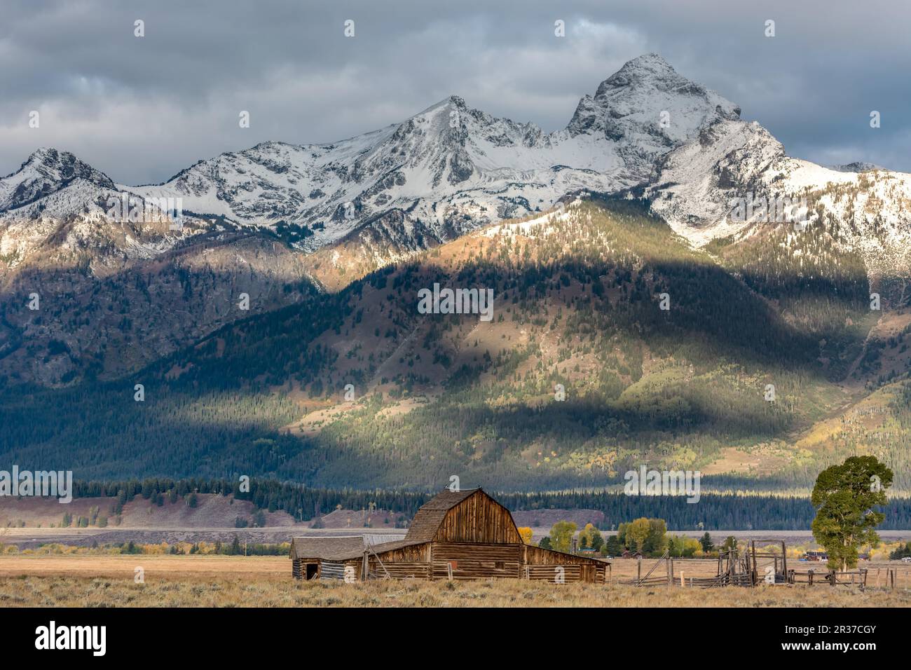 Mormon series hi-res stock photography and images - Alamy