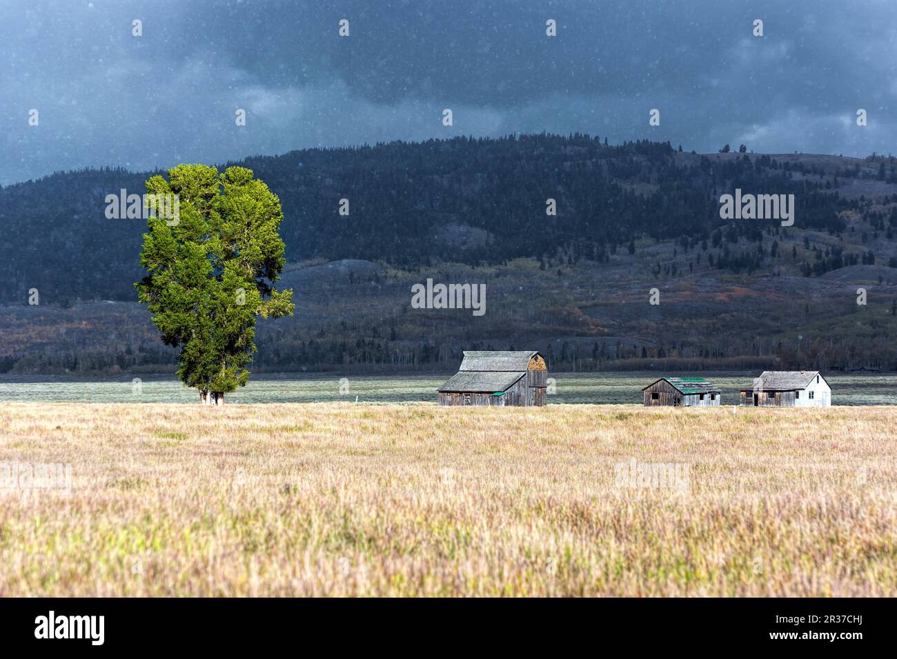 Mormon series hi-res stock photography and images - Alamy