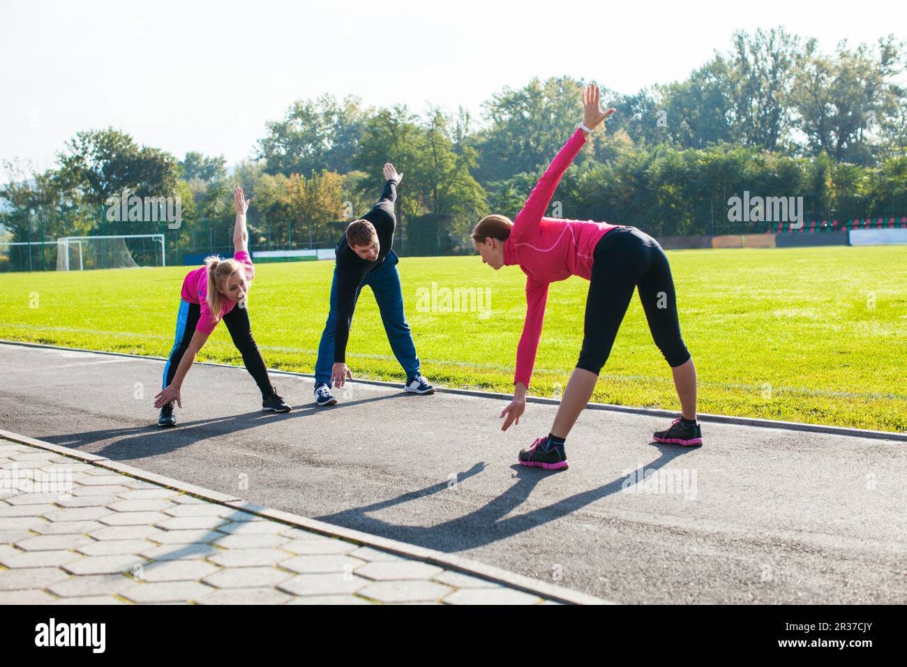 Muscular group hi-res stock photography and images - Alamy