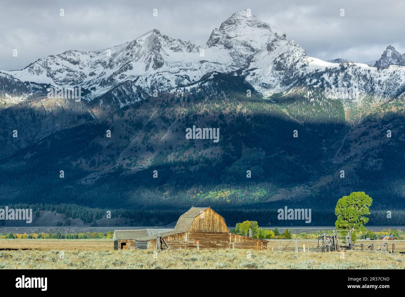 Mormon series hi-res stock photography and images - Alamy