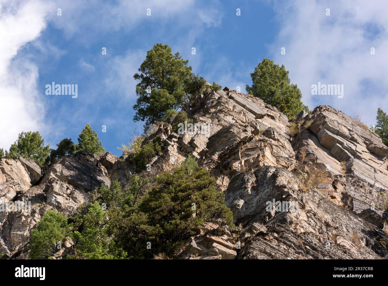Jagged cliffs above Holland Creek in Montana Stock Photo - Alamy