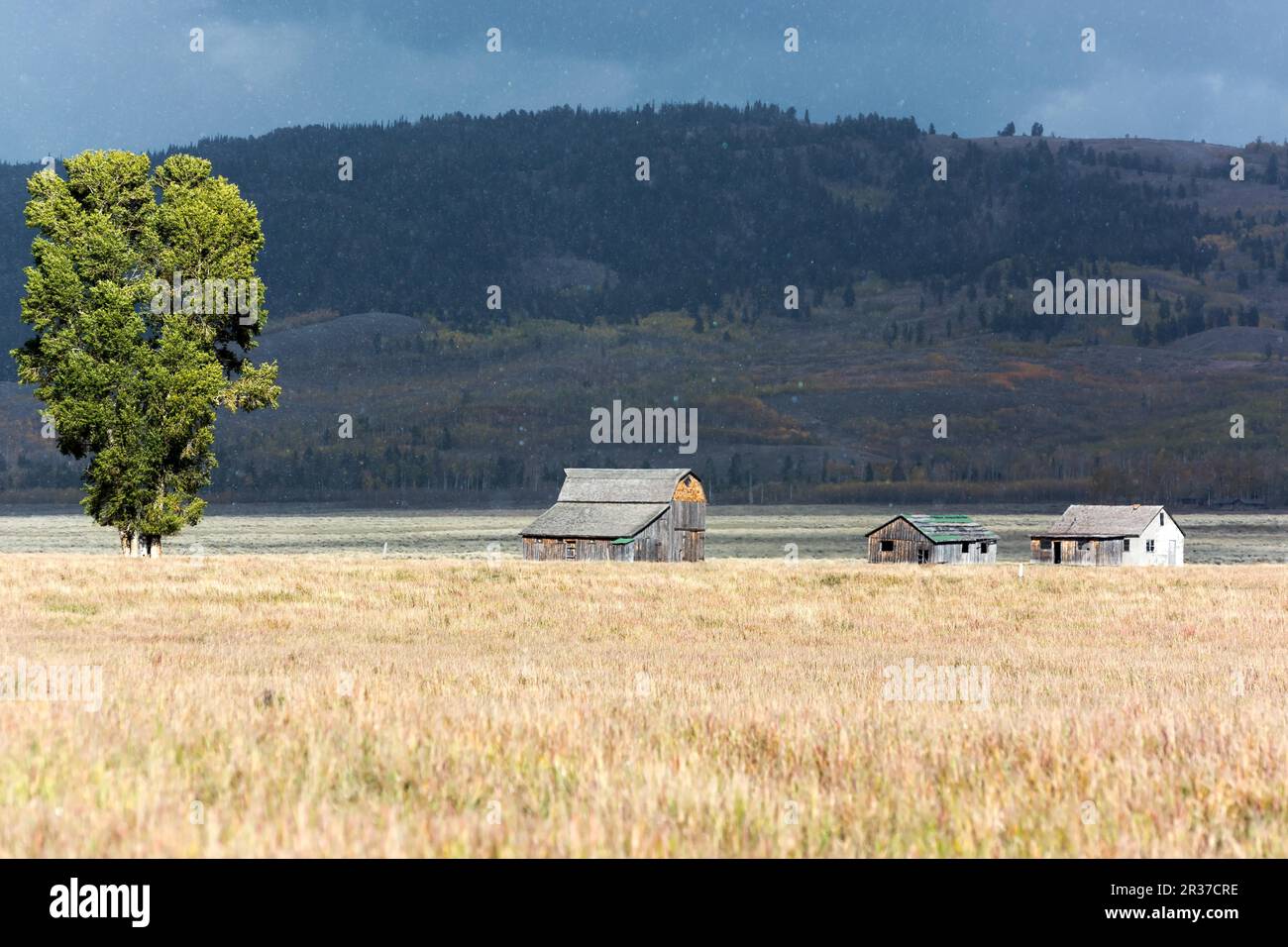 Mormon series hi-res stock photography and images - Alamy