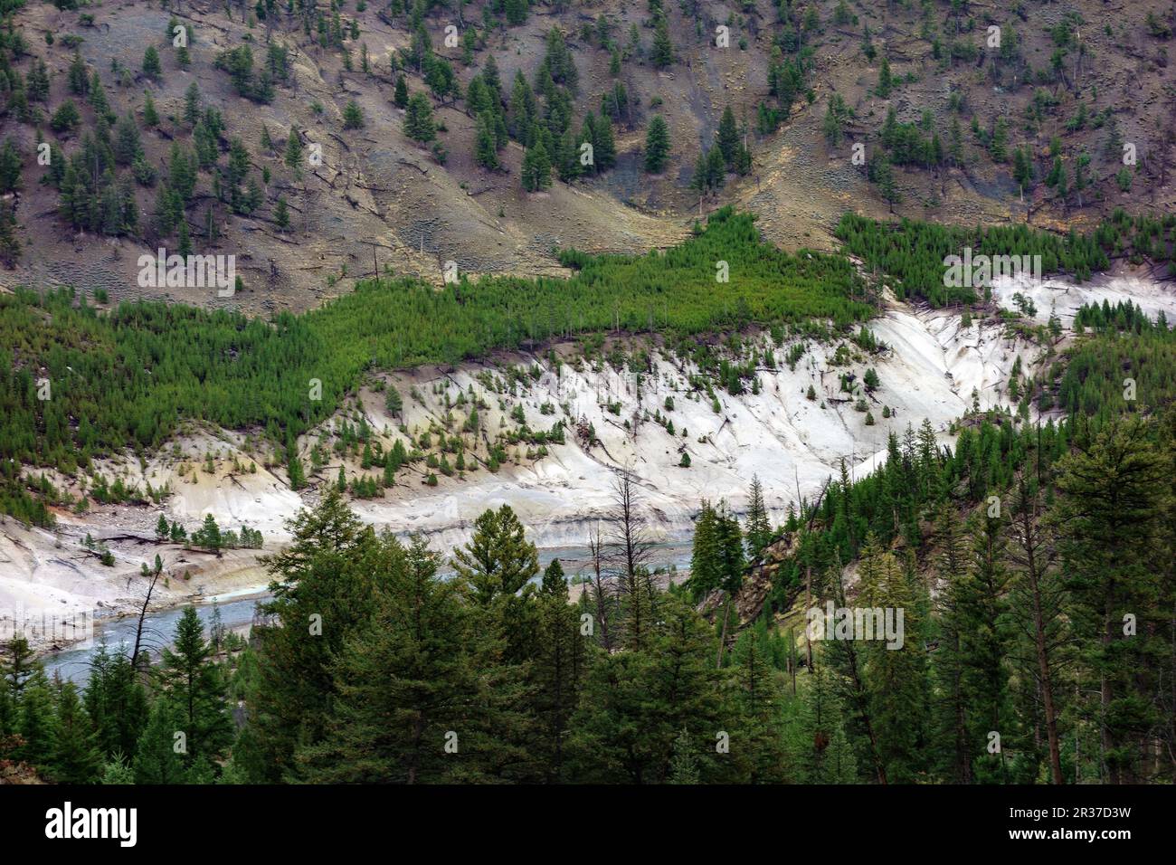 Yellowstone river bank hi-res stock photography and images - Alamy