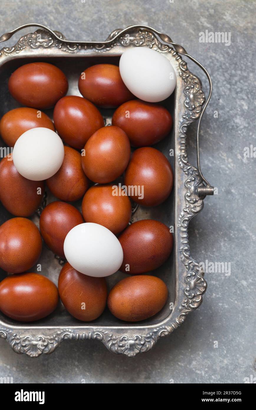 White and brown eggs in a silver tray Stock Photo - Alamy