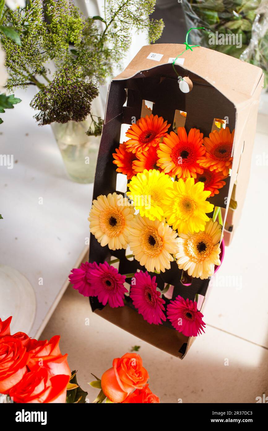 Bunches of purple flowers hi-res stock photography and images - Alamy