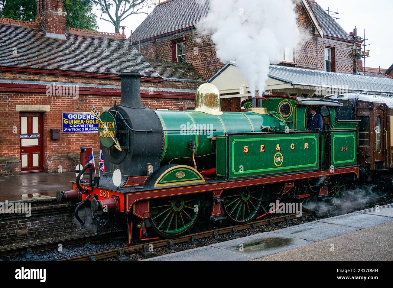 Golden arrow bluebell hi-res stock photography and images - Alamy