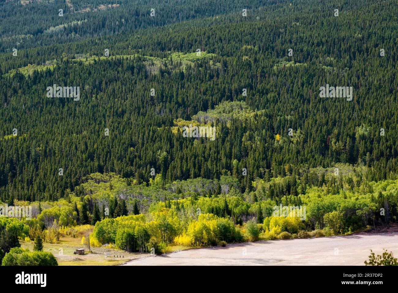 Wooden Hut beside Lower Two Medicine Lake Stock Photo - Alamy