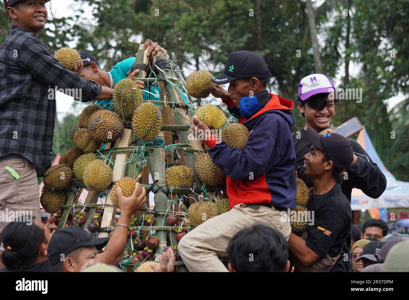 Indonesian are carrying tumpeng durian on sumberasri durian festival ...