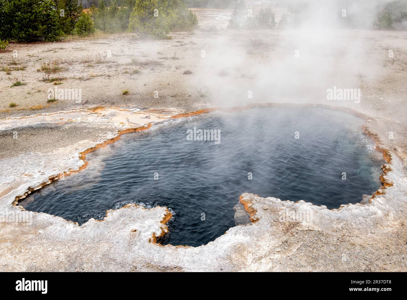 Surprise pool hi-res stock photography and images - Alamy