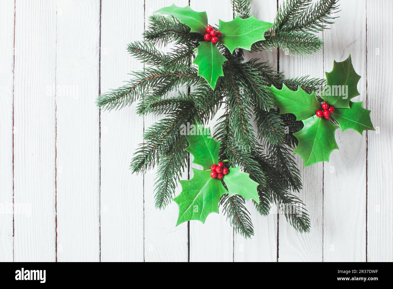Fir twigs hi-res stock photography and images - Alamy