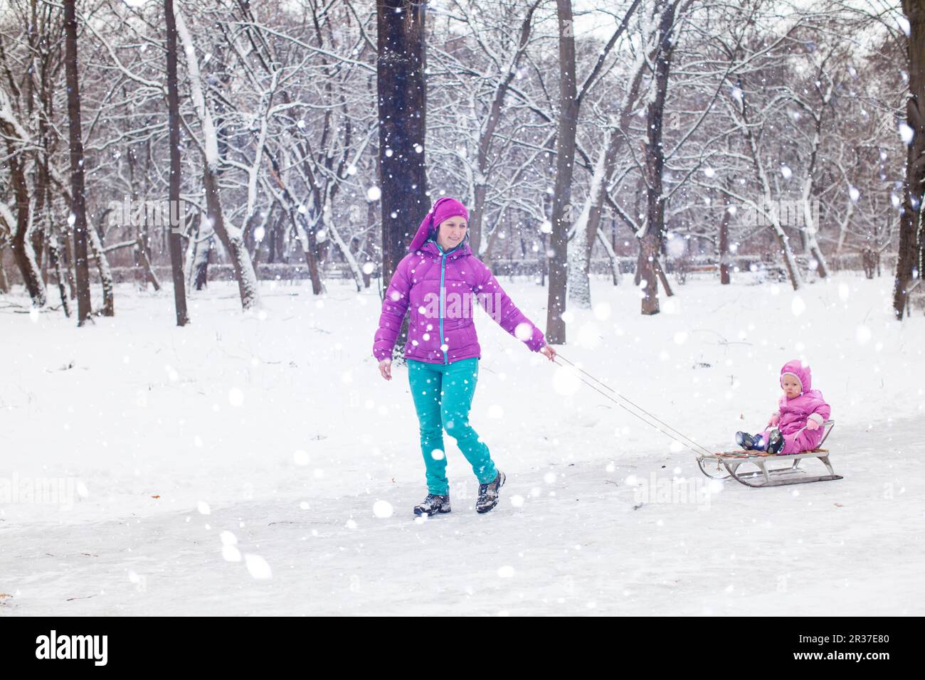 Ride on a sled in the winter woods Stock Photo - Alamy
