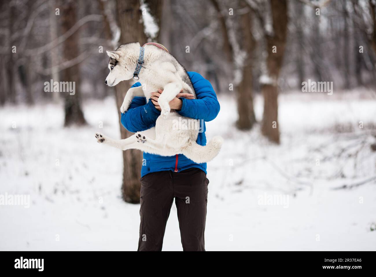 Person holding puppy hi-res stock photography and images - Alamy