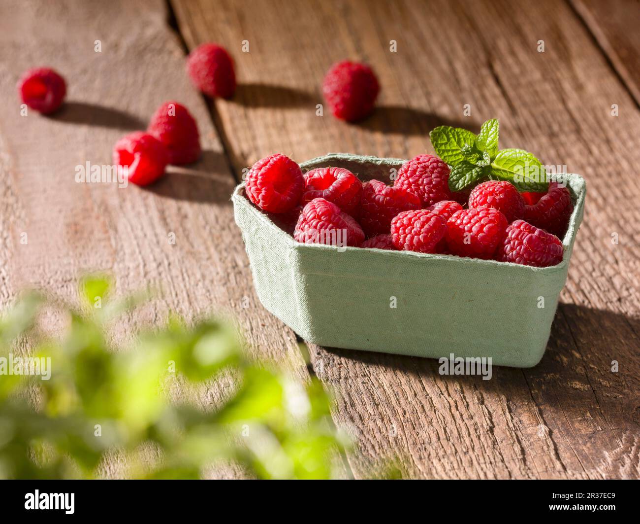 Cardboard punnet hi-res stock photography and images - Alamy