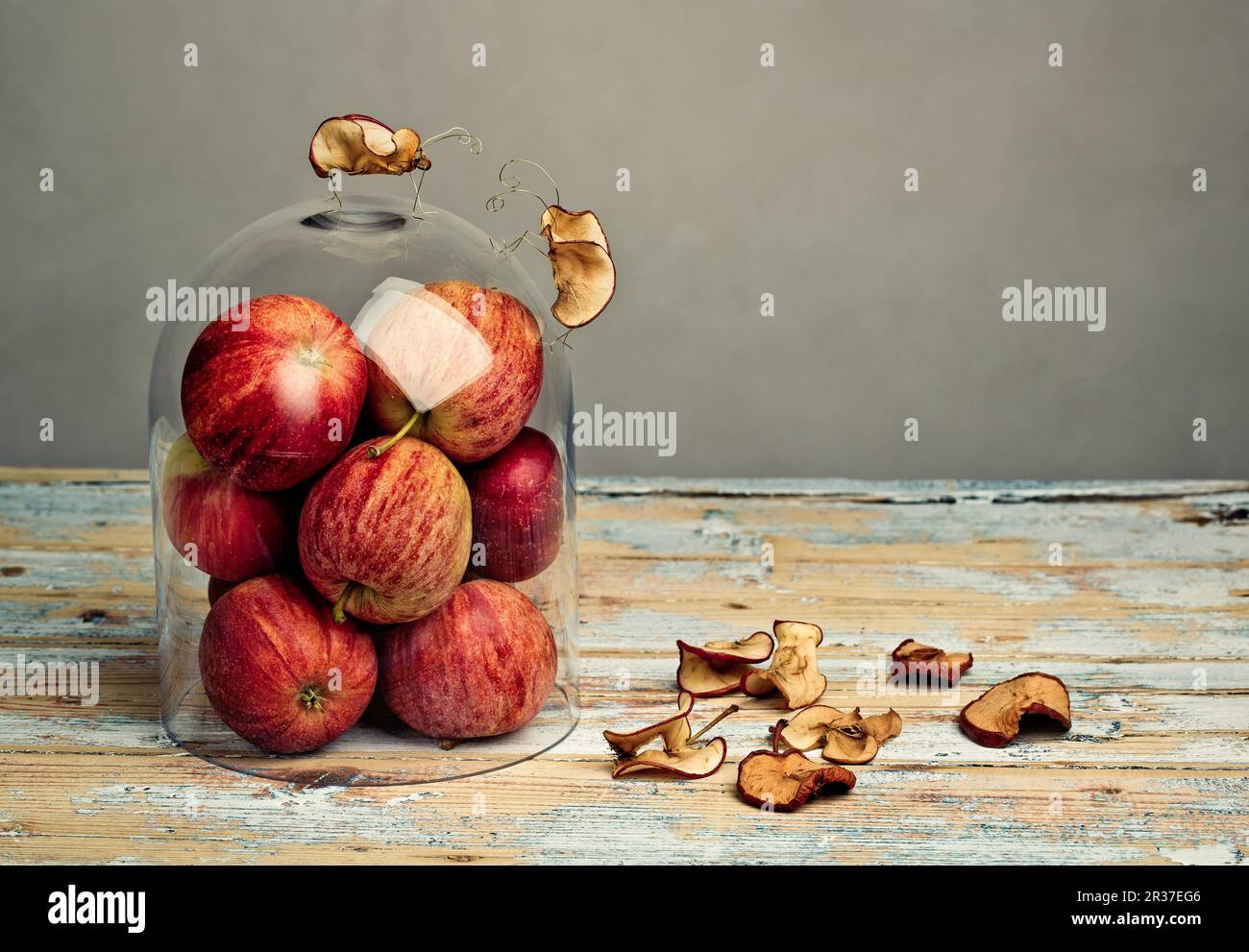 Miniature with apple beetles and fresh apples under glass bell jar ...