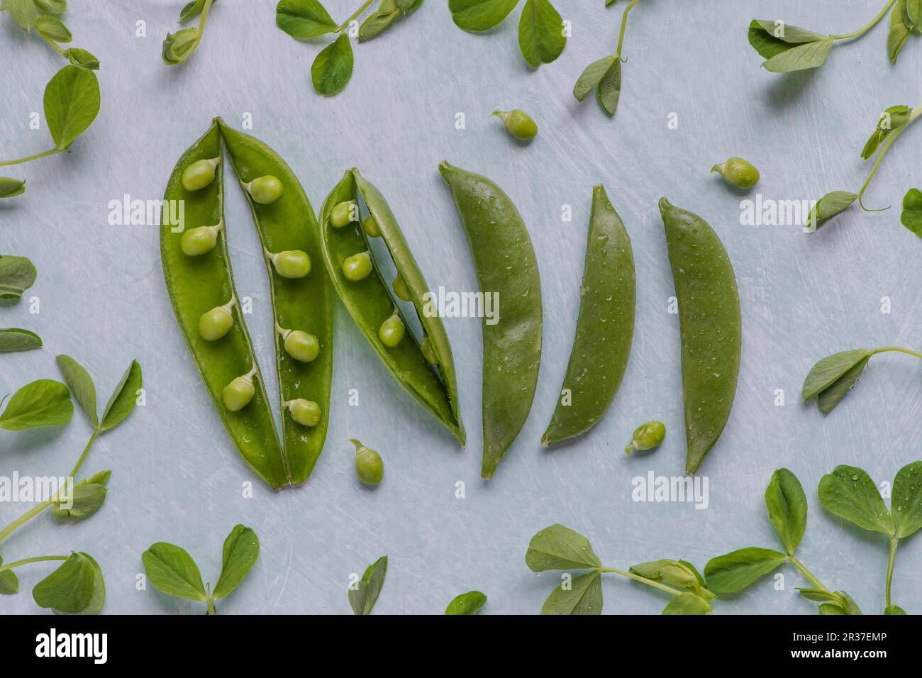 Pea pods and pea shoots, view from above Stock Photo - Alamy
