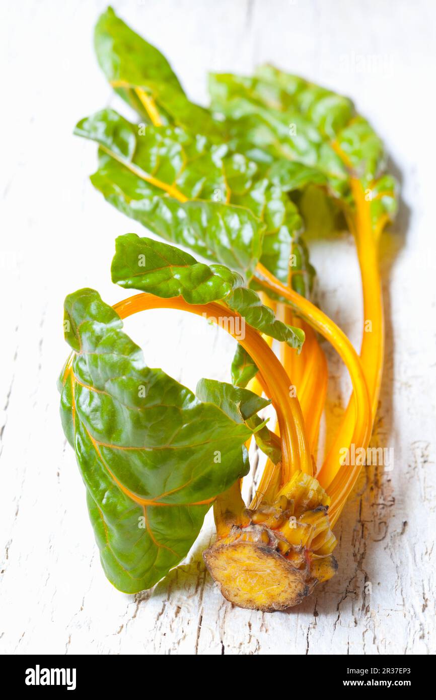 Yellow chard hi-res stock photography and images - Alamy