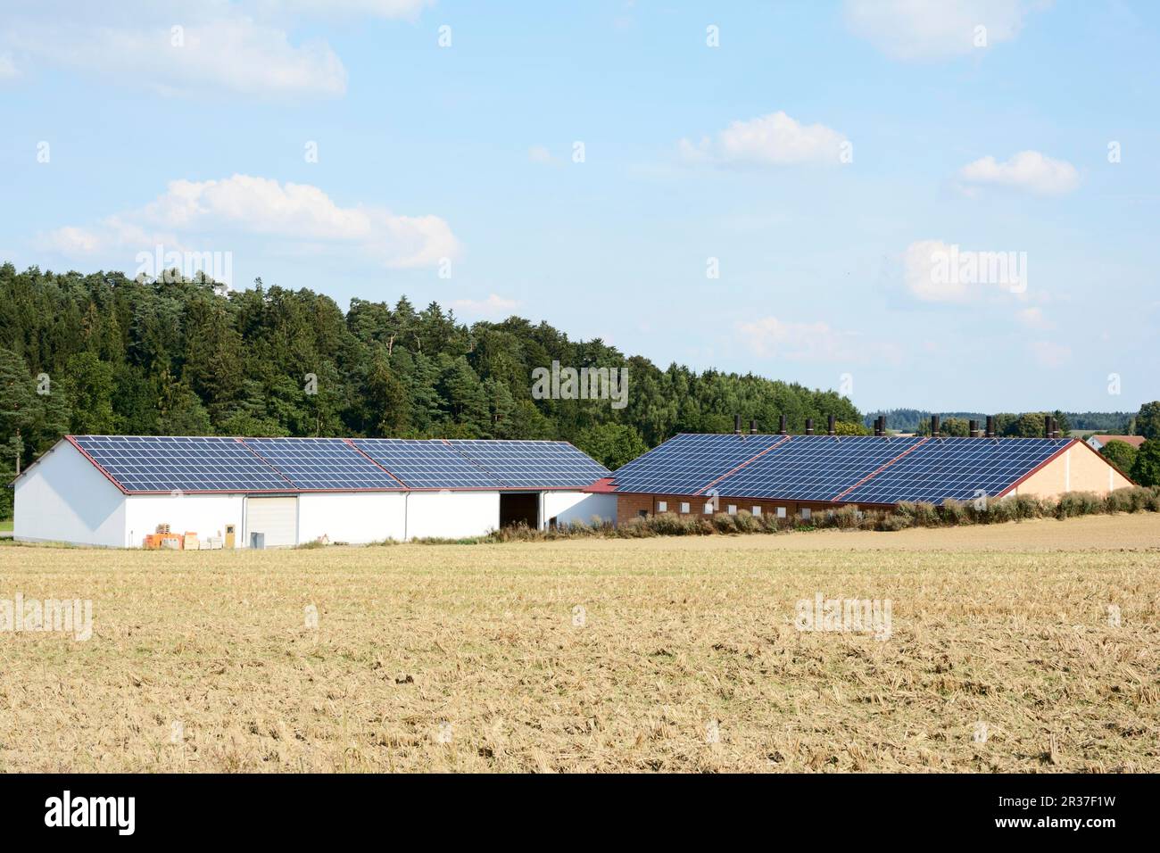 Barn of a farm with solar panels on the roof Stock Photo - Alamy