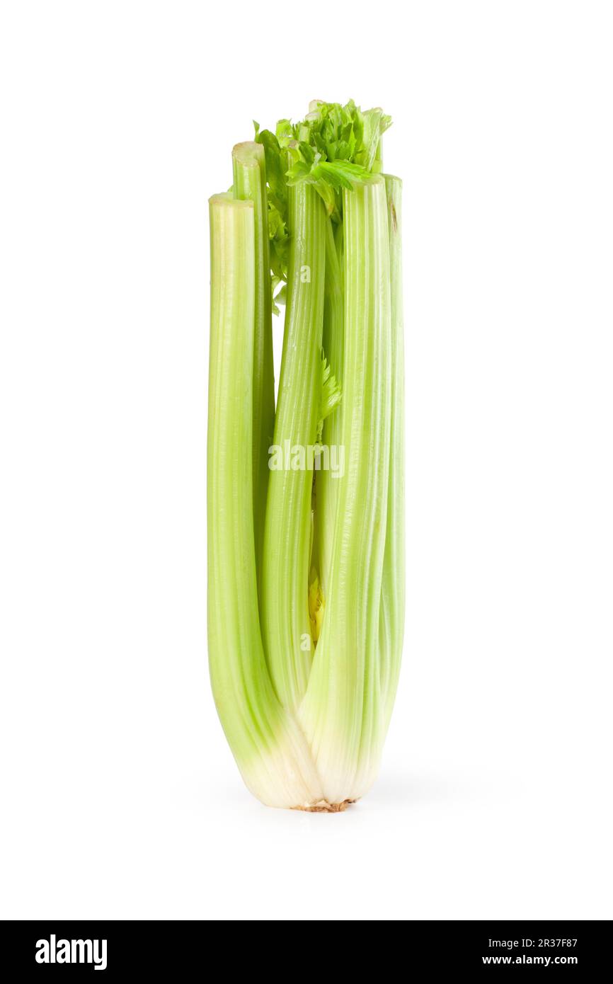 stump of celery isolated on white background Stock Photo - Alamy