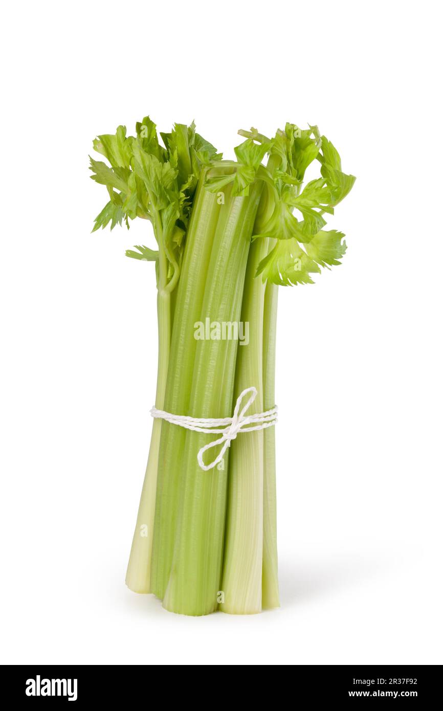 stump of celery isolated on white background Stock Photo - Alamy