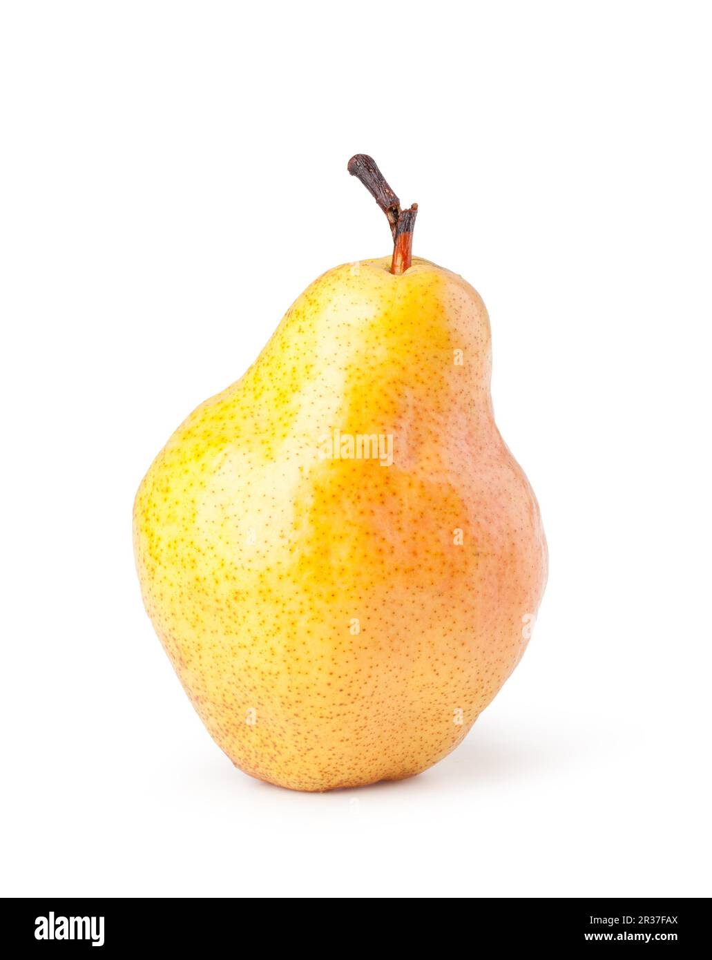 Close up Pear on a white background Stock Photo - Alamy