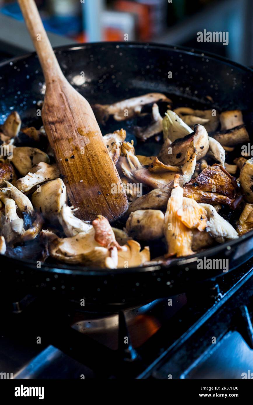 Mushrooms being cooked in pan hi-res stock photography and images - Alamy