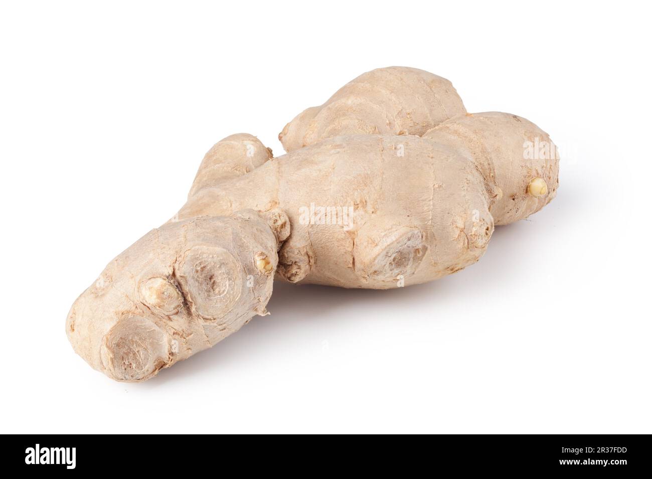 Asian herb background hi-res stock photography and images - Alamy