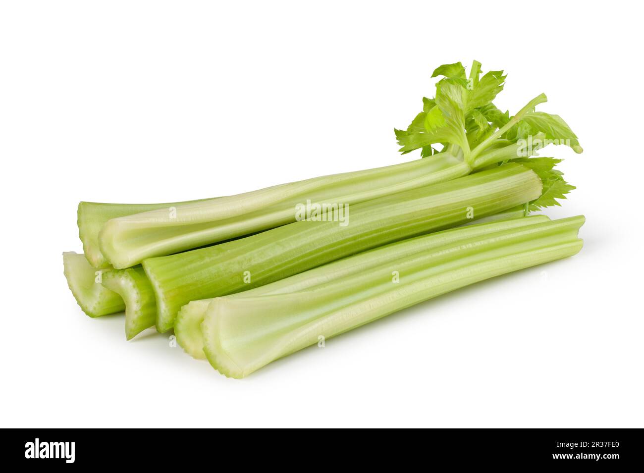 stump of celery isolated on white background Stock Photo - Alamy