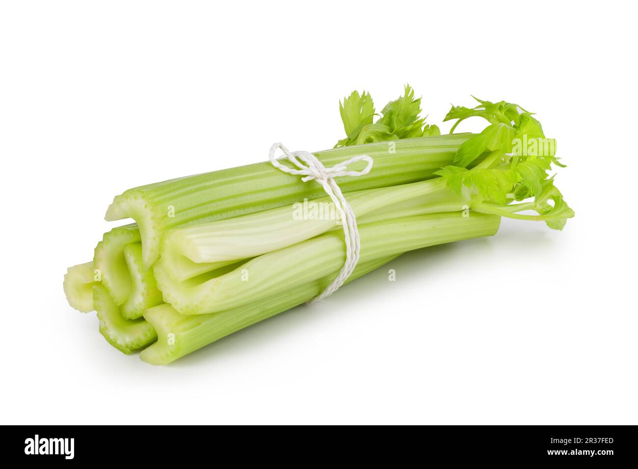 stump of celery isolated on white background Stock Photo - Alamy